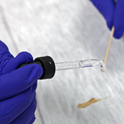 Login - National Forensic Science Technology Center